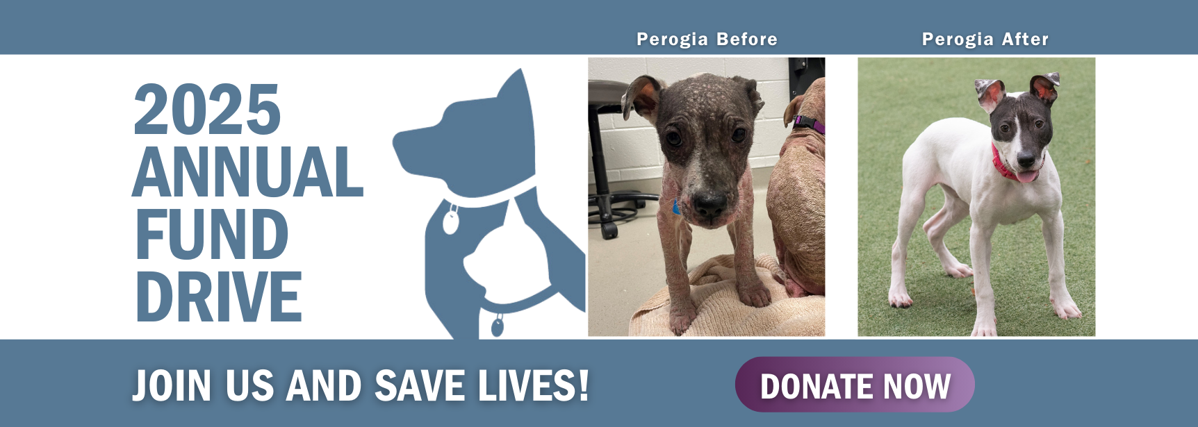 Cleveland Animal Protective League | Cleveland Animal Protective League